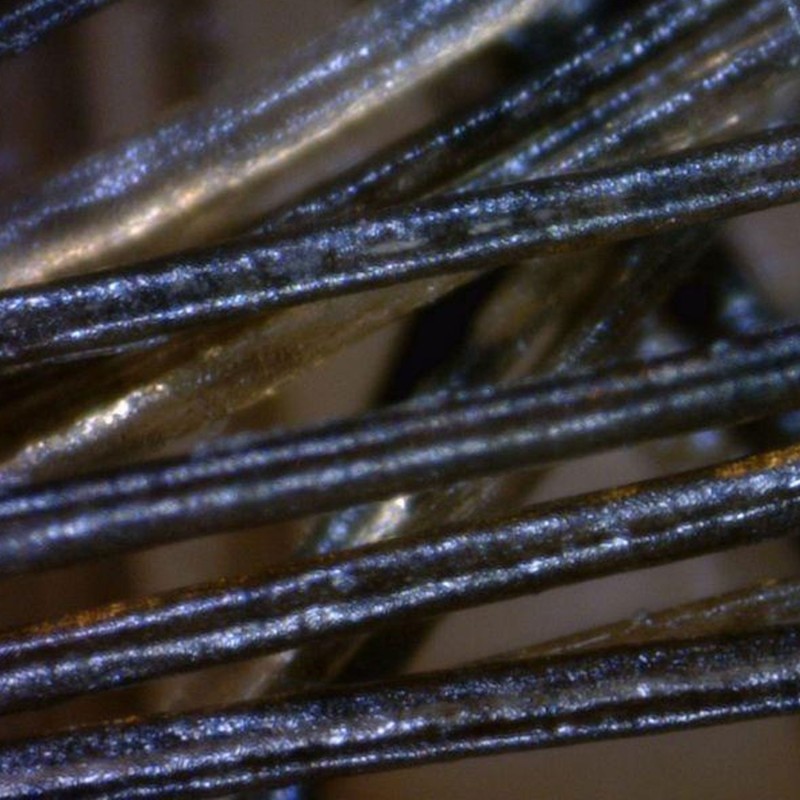 Microscopio Digital Dino-Lite Tricoscopio Basic MEDL3H | Quantum Spain