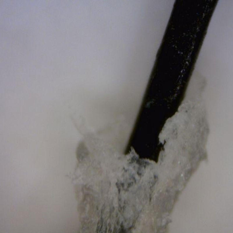 Microscopio Digital Dino-Lite Tricoscopio Basic MEDL3H | Quantum Spain